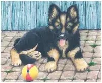 GOKI Dřevěné kostky Zvířátka ze statku / 9 kostek / od 3 let