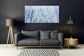 Plexisklo-obraz Květiny Klasy Louka Příroda 120x60 cm