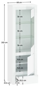 Kondela Vitrína 1D1W1S, bílý lesk, LINDY