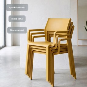 Nardi Plastové křesílko TRILL agave