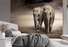 Gario Fototapeta Pár slonů Materiál: Vliesová, Rozměry: 200 x 140 cm