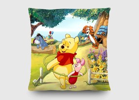 Dekorativní polštářek Medvídek Pú Nejlepší Přítel, Disney | 40 x 40 cm | DCND 3119