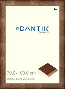DANTIK rámeček 70x100 | TOMAS bronz velká (Plexi Čiré)