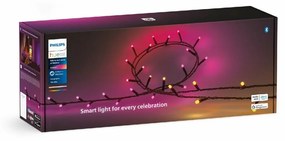 Philips Hue 8720169246867 světelný LED Waca řetěz Festavia, 2x 14 W 2000-6500K RGB IP54, 40 m