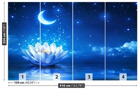 Fototapeta Lotus Měsíc 104x70