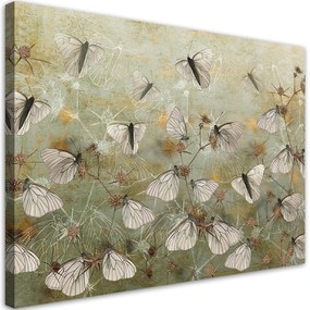 Obraz na plátně, Abstraktní motýli na louce - 120x80 cm