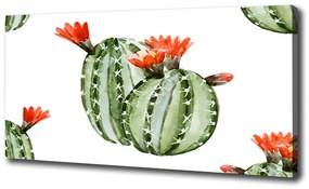 Wallmuralia Foto obraz na plátně Kaktusy 100x50