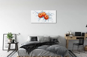 Obrazy na plátně rajčata voda 120x60 cm