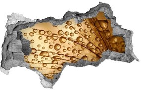 Wallmuralia Samolepící nálepka Semena pampelišky 95x73 cm