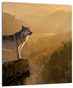Obraz vlka na skále (30x30 cm)
