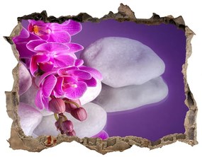 Wallmuralia Fotoobraz díra na stěnu Orchidej 95x64 cm