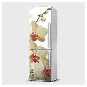 E-shop24, Pi51SL988, Rozměr 65x180 cm, Fototapeta samolepící na lednice - Orchidej bílá