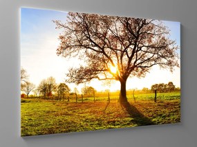 Liox Obraz podzimní krajina v západu slunce Rozměr: 120 x 80 cm