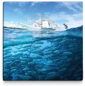 Malvis ® Obraz Hejno ryb Velikost (šířka x výška): 100x100 cm