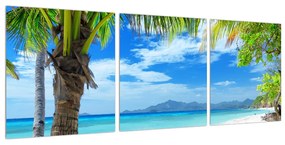 Obraz palmy a pláže (90x30 cm)