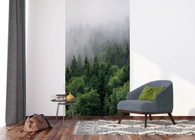 Vliesová fototapeta na zed' Vrcholky Stromů v Mlze | 150 x 270 cm | DFT2P2543