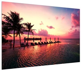 Obraz pláže s palmami a sluncem (100x70 cm)