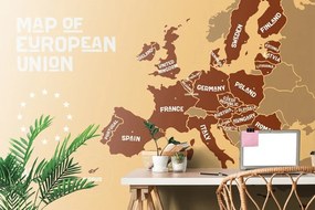 Samolepící tapeta hnědá mapa s názvy zemí EU - 375x250 cm