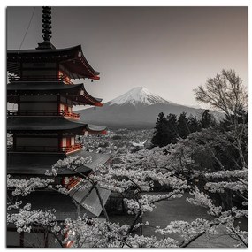 Obraz na plátně - Pohled na horu Fuji - čtverec 361FA (50x50 cm)