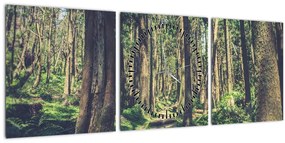 Obraz cesty mezi stromy (s hodinami) (90x30 cm)