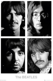 Plakát, Obraz - The Beatles - White album, (61 x 91.5 cm)