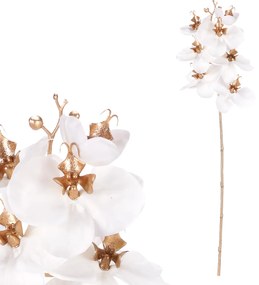 Orchidej, barva bílá KUC2603 WT