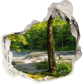 Wallmuralia Nálepka fototapeta 3D výhled Řeka v lese 75x75 cm