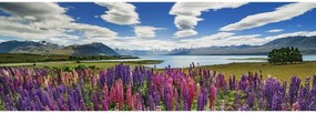 Puzzle heye panoramatické puzzle jezero tekapo, nový zéland 1000 dílků