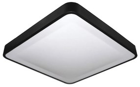 BOWI | LED Stropní svítidlo WILTON LED/24W/230V černá | BW0103