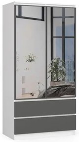 Šatní skříň S90 2D se zrcadlem - bílá/grafit
