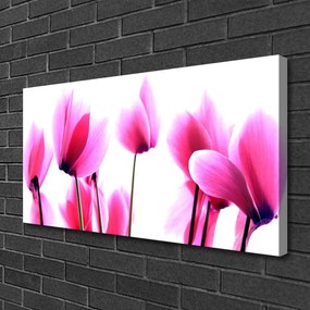 Obraz na plátně Květíny Rostlina 125x50 cm