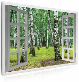 3D obraz okno břízy Velikost (šířka x výška): 100x80 cm