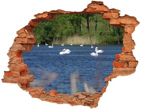 Wallmuralia Díra 3D fototapeta nálepka Bílé labutě 90x70 cm