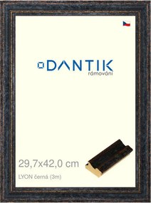 DANTIK rámeček 29,7x42 | LYON černá (Plexi Čiré)