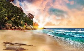 Postershop Fototapeta vliesová: Tropická pláž - 416x254 cm
