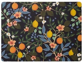 Rifle Paper Co. Korkové prostírání Citrus Grove - set 4 ks, multi barva, korek