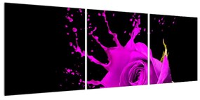 Obraz fialové růže (120x40 cm)