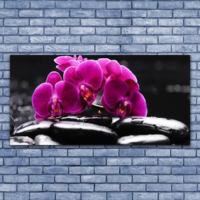 Plexisklo-obraz Kameny Zen Orchidej Lázně 120x60 cm