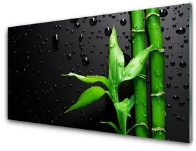 Obraz na skle Bambus Listy Rostlina 120x60 cm