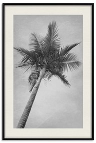 Plakát Vysoká palma