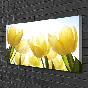 Obraz na plátně Tulipány Květiny Paprsky 125x50 cm