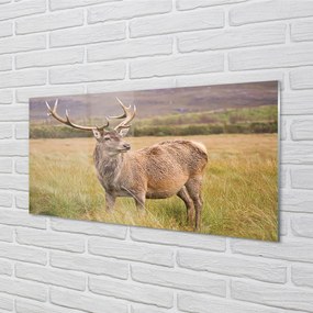 akrylový obraz polní jelen 125x50 cm