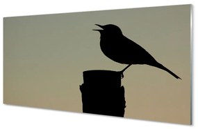 Obraz na skle černý pták 125x50 cm