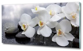 Wallmuralia Fotoobraz na skle Orchidej 100x50