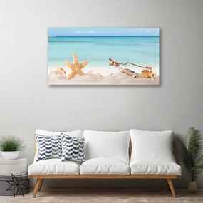 Obraz na plátně Hvězdice Mušle Pláž 140x70 cm