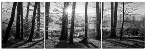 Obraz na plátně - Podzimní ráno v lese - panoráma 5251QC (150x50 cm)