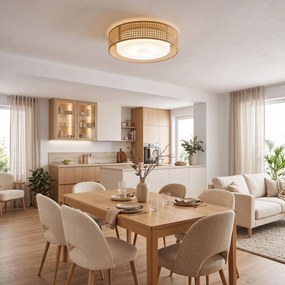 Toolight Toolight, LED stropní svítidlo plafon s ratanovým stínítkem 4000K, APP1934-C, bílá-ratan, 50 cm, OSW-66090