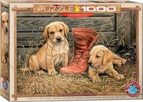 EUROGRAPHICS Puzzle Štěňata se starou botou / 1000 dílků / 67,6 × 48,9