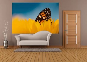 Tapeta - Motýl v květu (120x80 cm) - PopyDesign