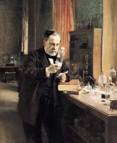 Umělecká fotografie Louis Pasteur in his Laboratory, 1885, Edelfelt, Albert Gustaf Aristides, (35 x 40 cm)